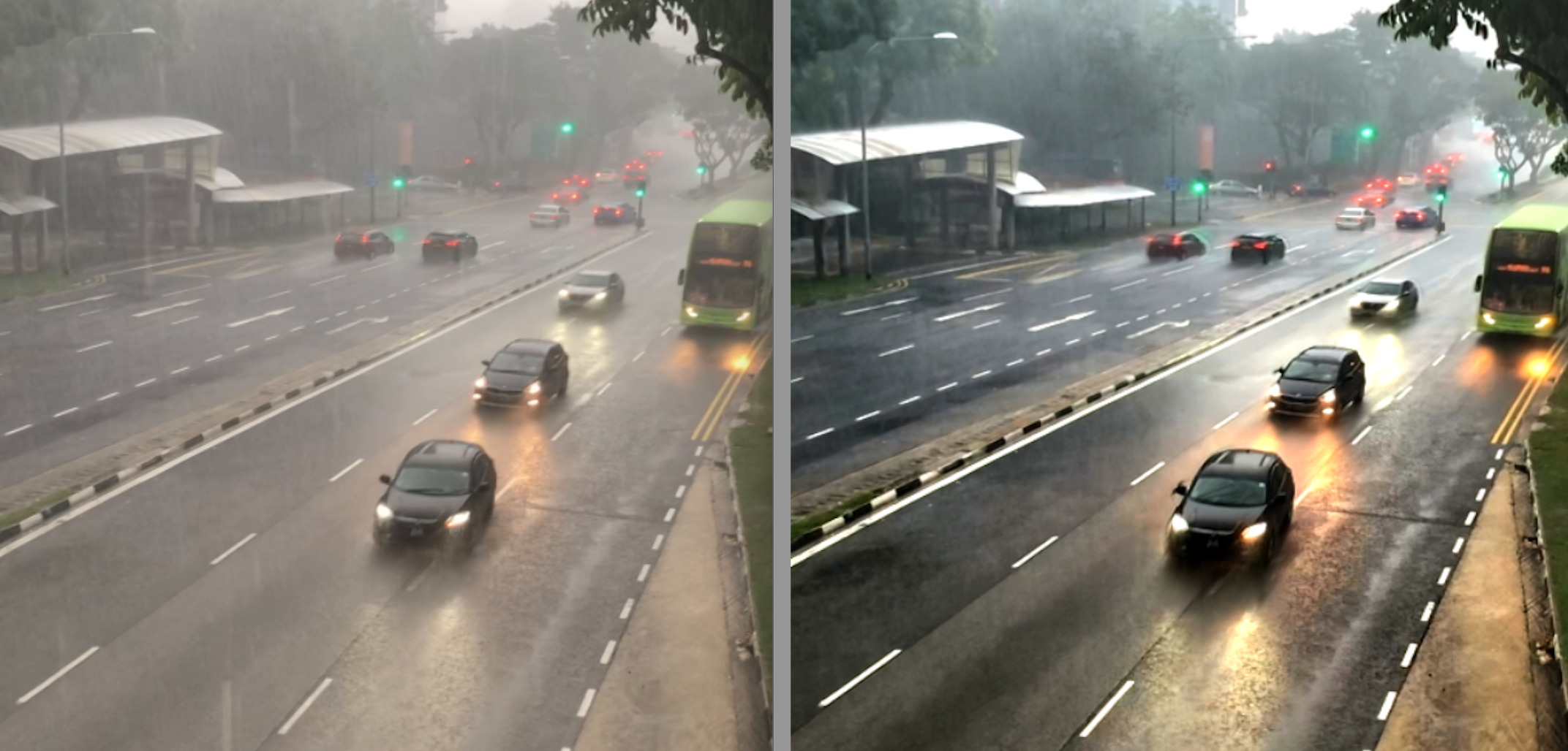 Robby T. Tan | Publication